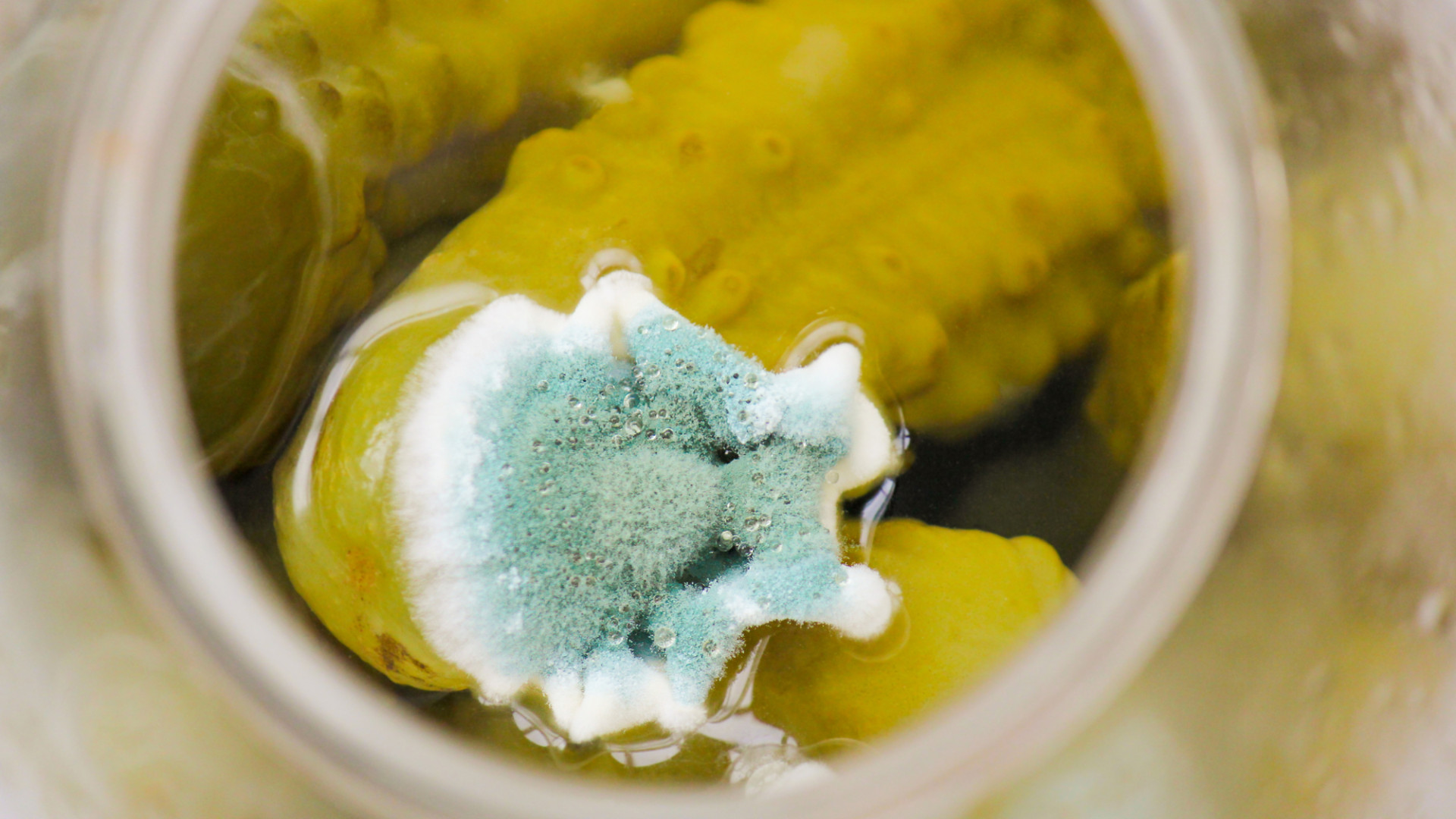 Что будет, если съесть продукты с плесенью: 06 мая 2024 | 09:18 ...