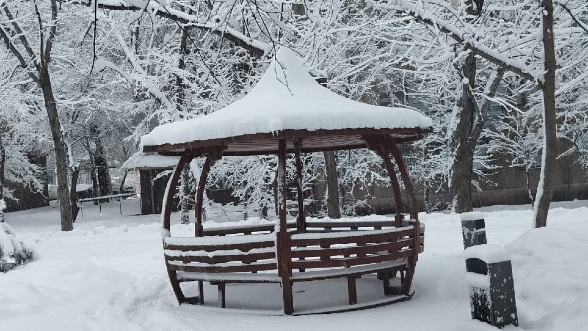 Heavy snowfall starts in Almaty: 08 January 2025 10:16 - news on ...