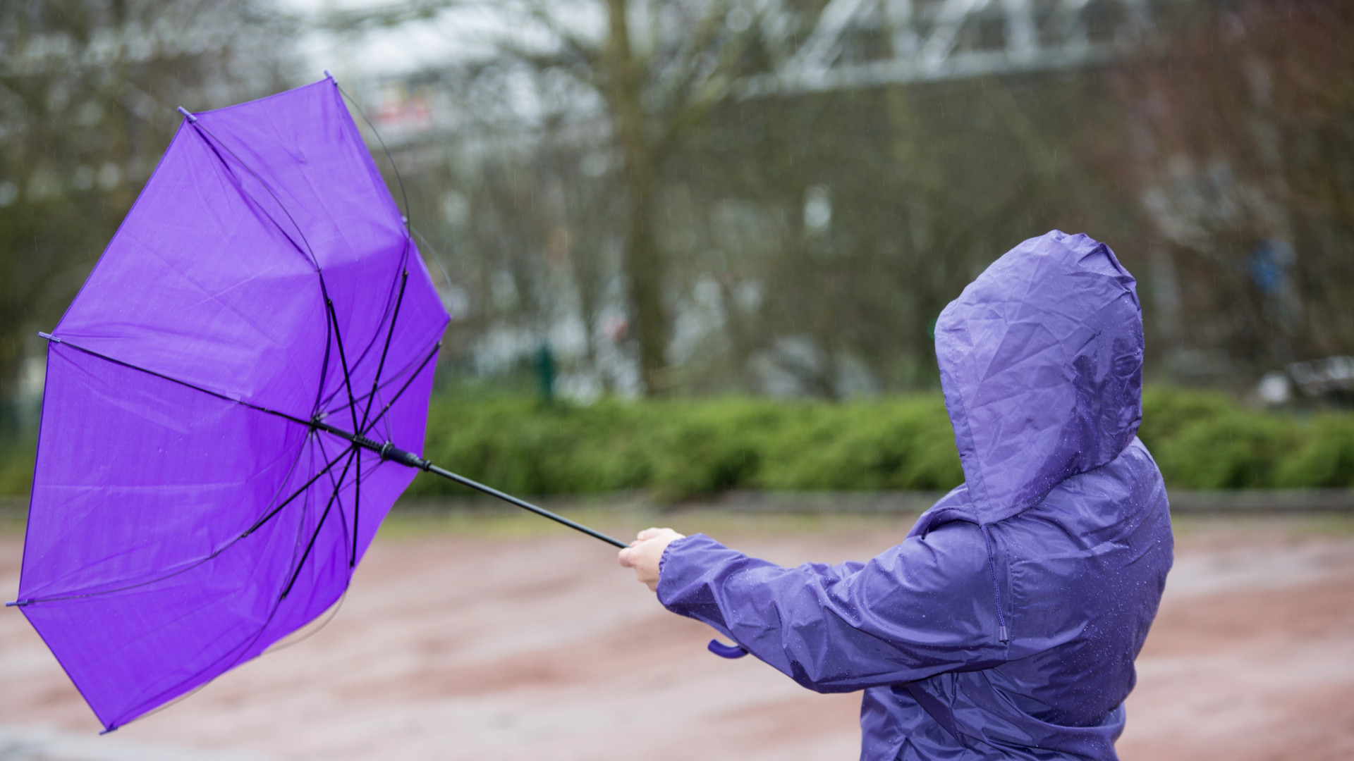 Stormy winds to hit in coming days: Astana and Almaty weather forecast ...