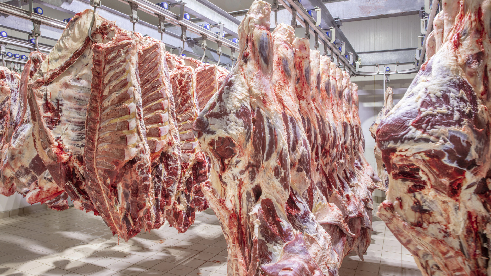 Kazakhstan moves to curb beef and fuel prices with export limits: 04 ...