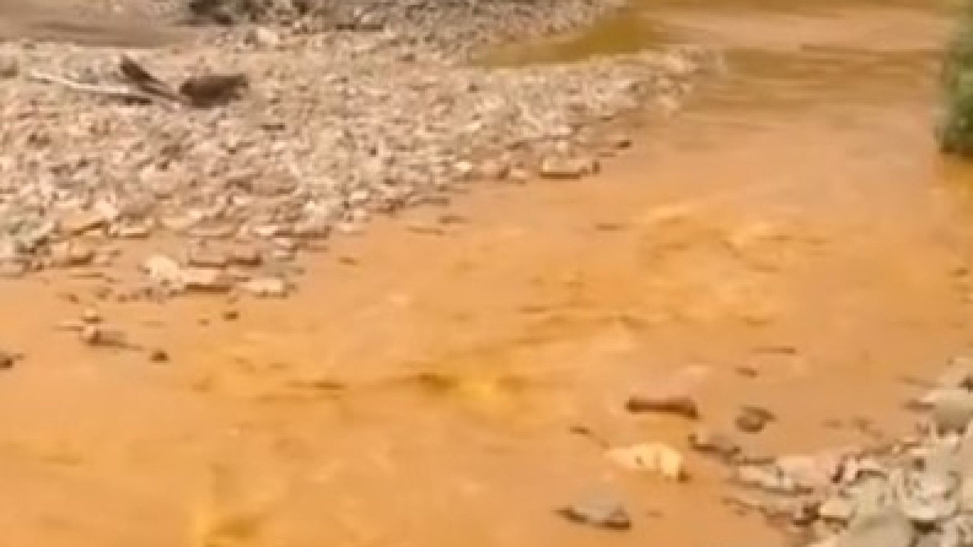 River turns bright orange in eastern Kazakhstan: 30 June 10:40 - news ...